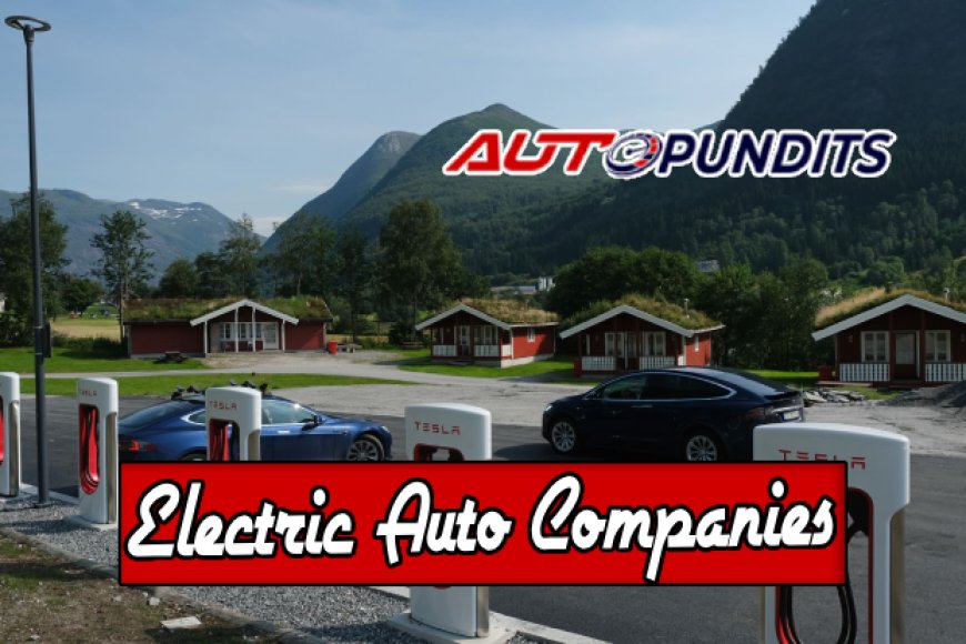 New Models Unveiled by Top Electric Auto Companies